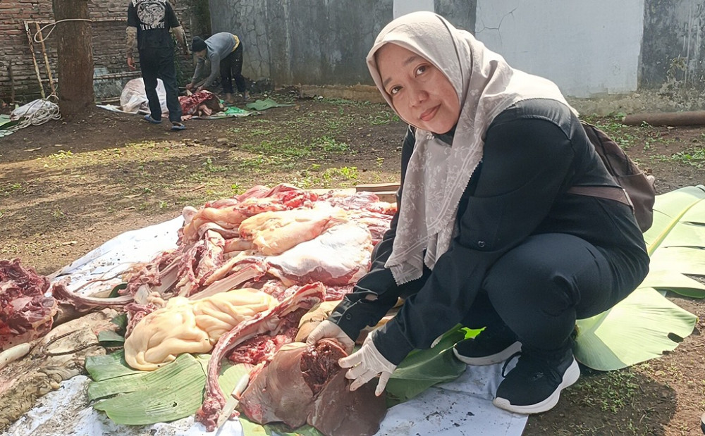 Waspada Cacing Hati, Dispaperta Batang Sidak Penyembelihan Hewan Kurban ...